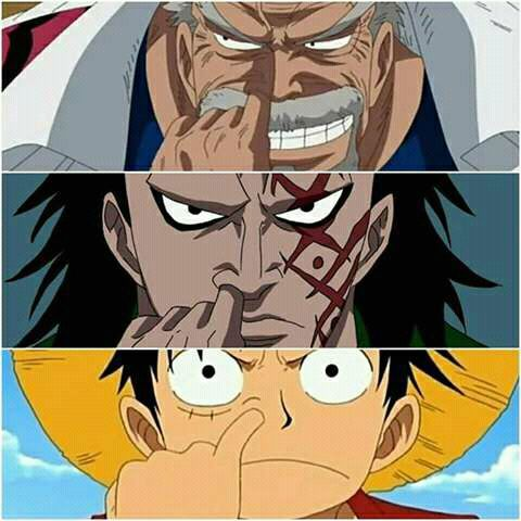 One Piece: Antara Fakta yang anda perlu tahu tentang keluarga Luffy ...
